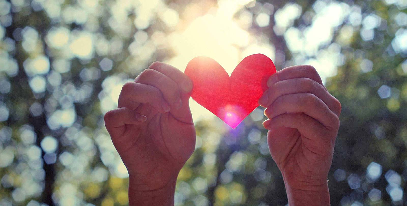 Friends Funeral Home - Traditional and Alternative Cremations and Burials